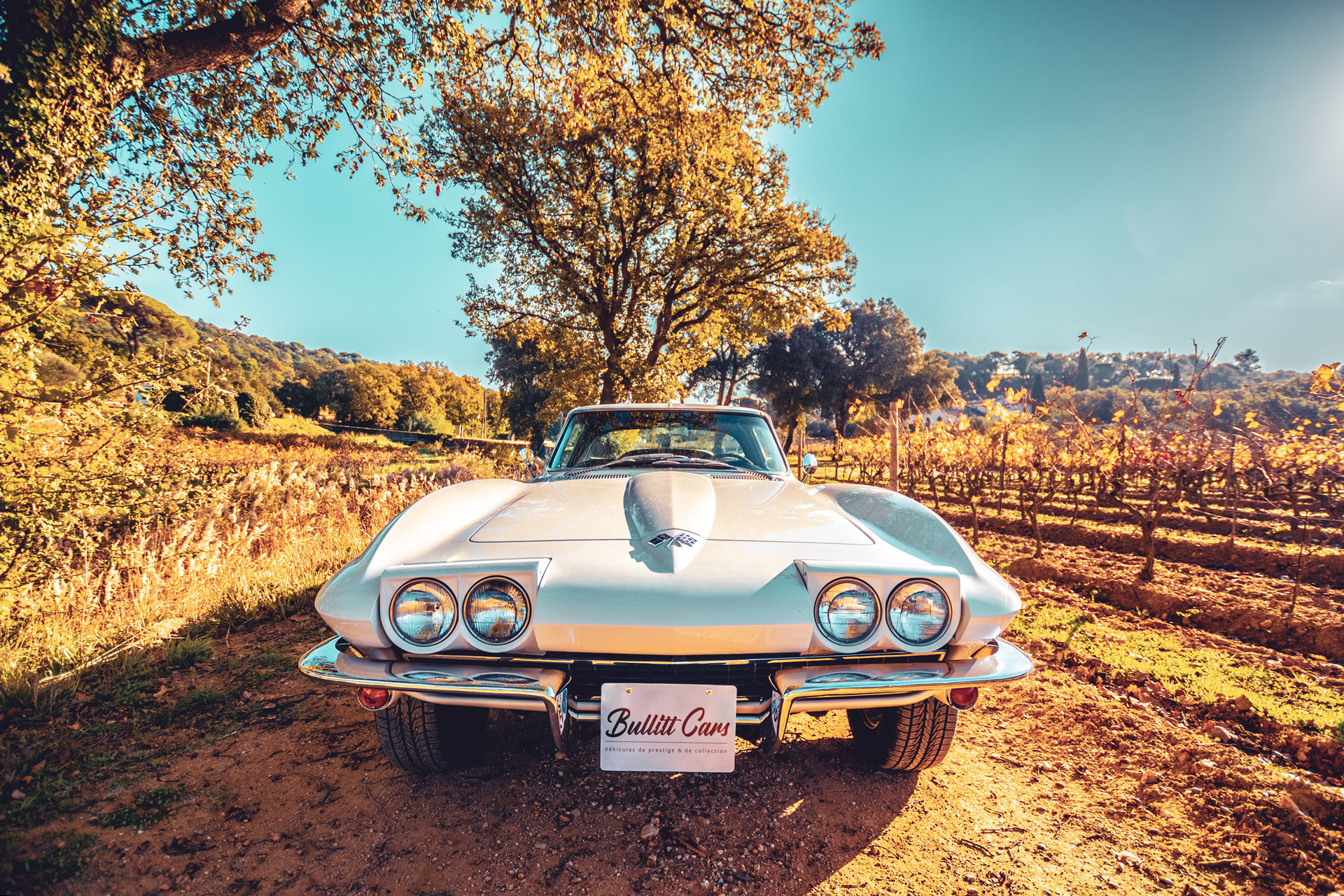 Vente de voitures anciennes de collection toutes marques ( américaine,...)